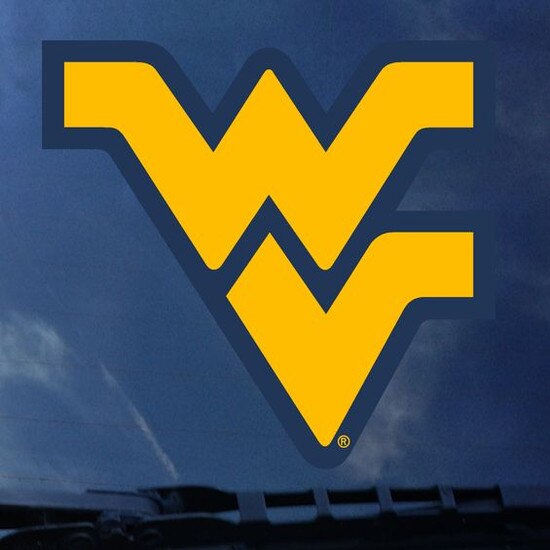 Large Gold Flying WV Decal