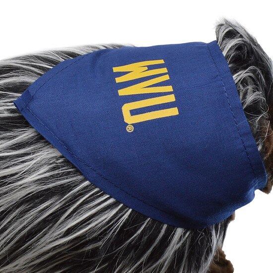 WVU Minion Plush Porcupine with Navy Bandana